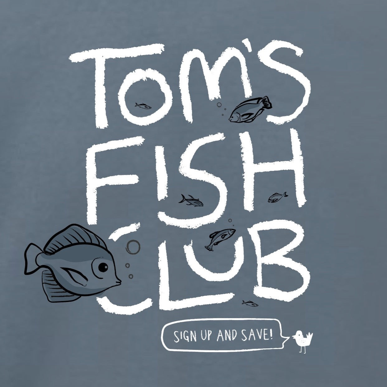 Basic Subscription – Tom the Fish