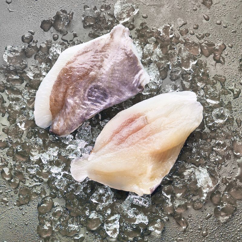 John Dory Fillets | Sweet & Buttery Fish | Frozen Fish Delivery – Tom ...